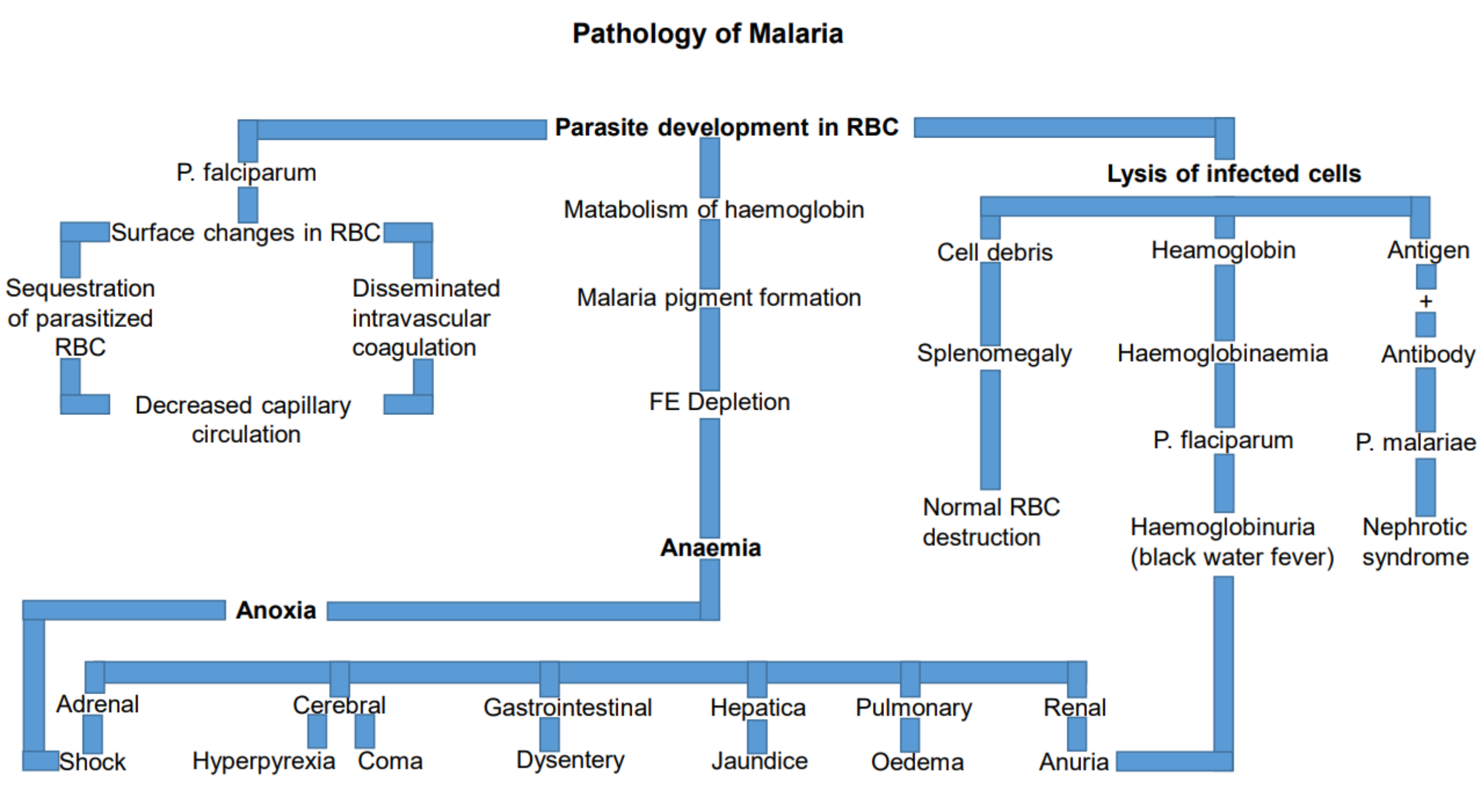 Malaria tertiana | Parasite Diagnosis